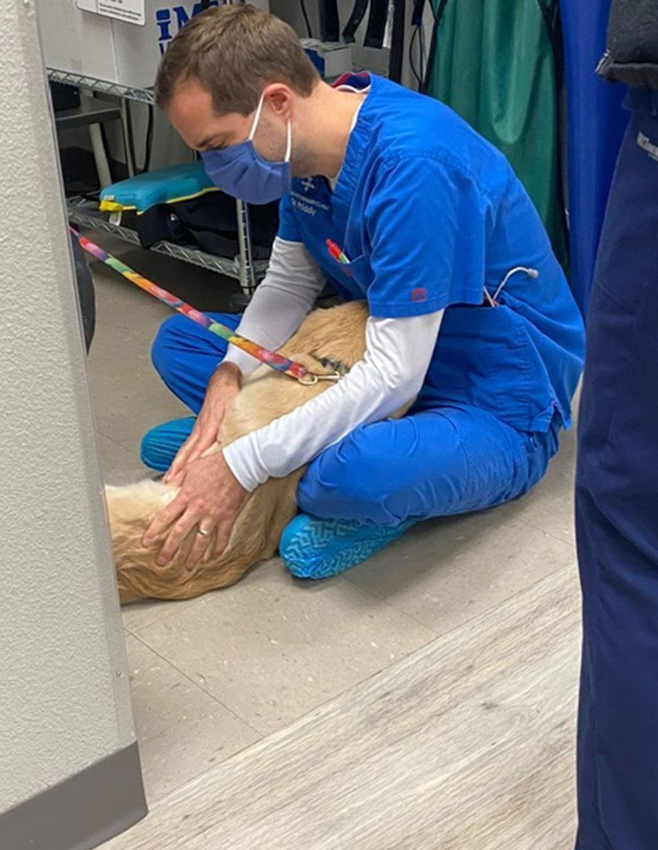 Veterinarian in Dallas Texas | Vet Near You | Dallas Veterinary Clinic